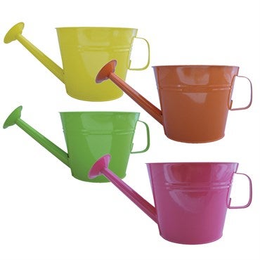 7.5" Watering Can Planter | Windswept Gardens LLC Nursery&Greenhouse